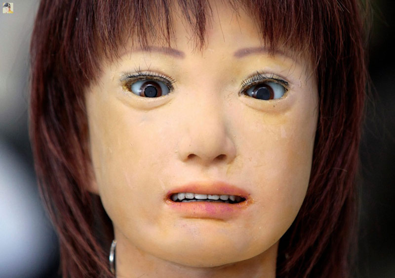 Identifying emotions through head movements: A descent into the uncanny ...