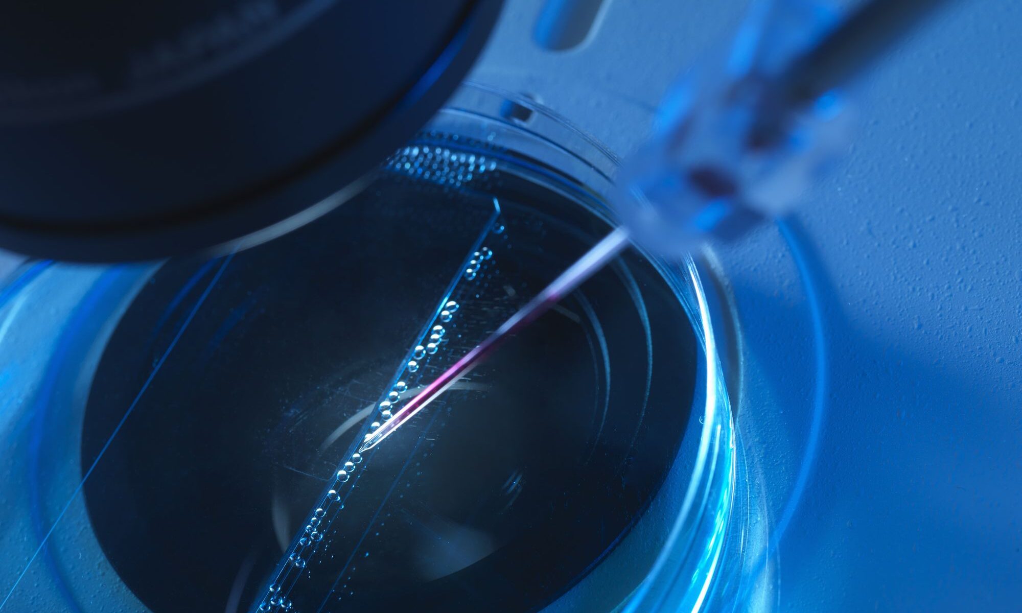 Seeing double: An overview of cloning, past and present - The Tribune