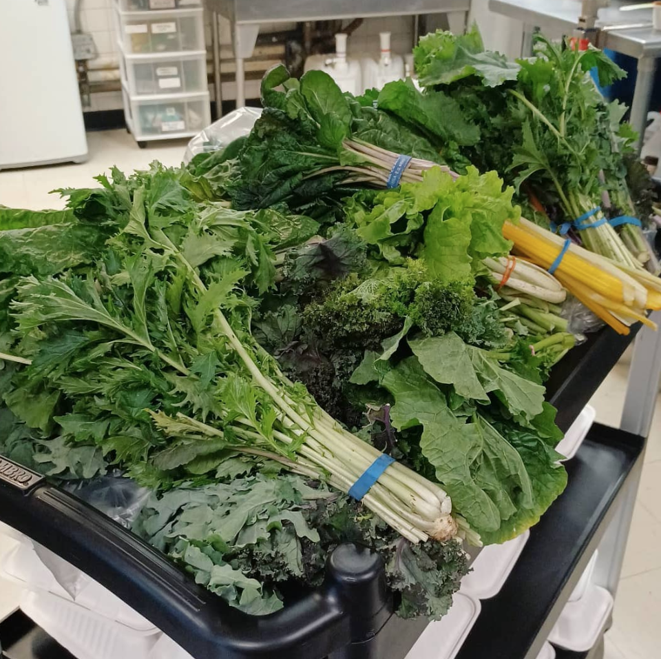 Midnight Kitchen re-launches free meal program after COVID-19 hiatus ...