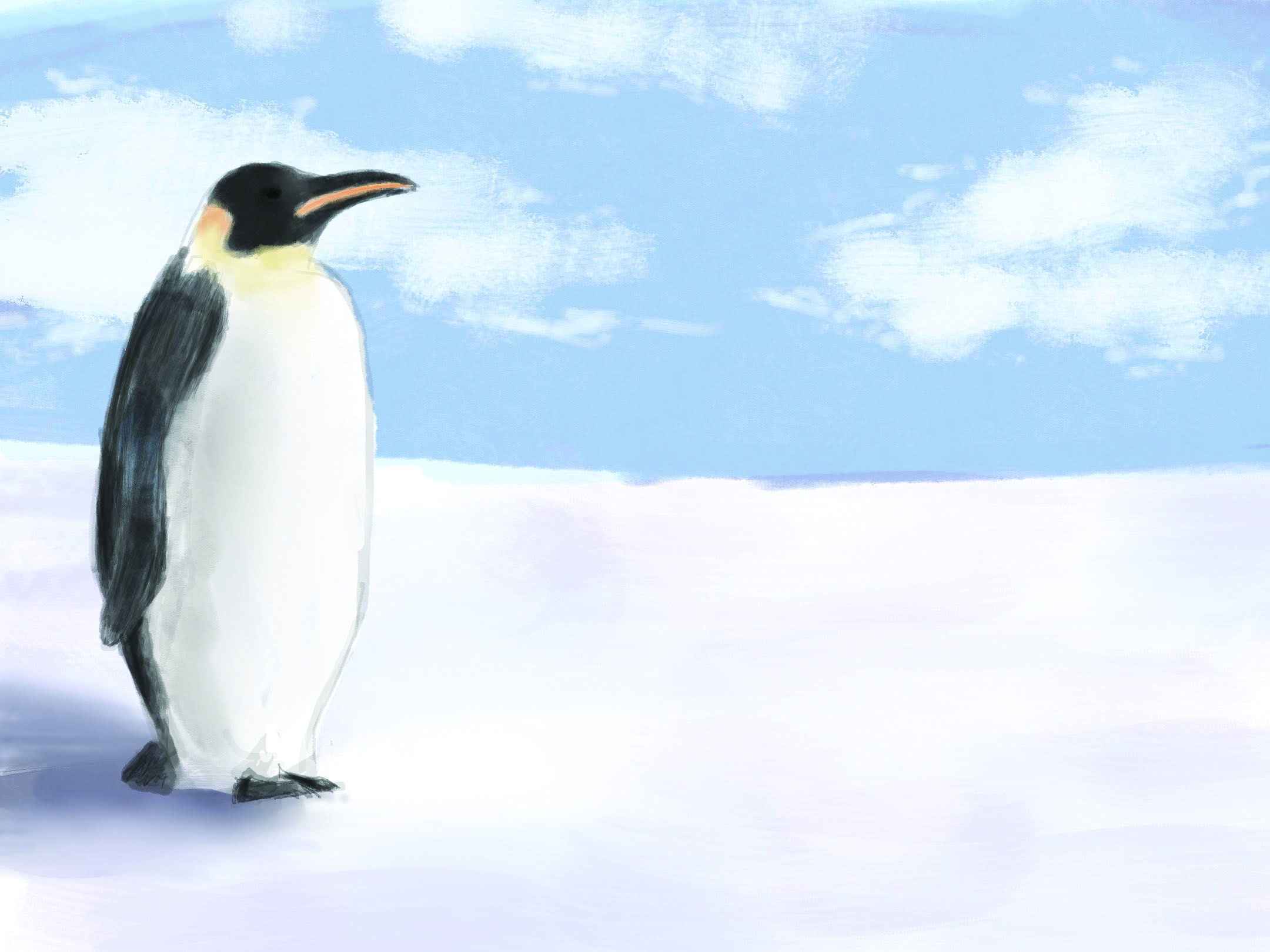 Penguin feathers and the ice cube tray effect - The Tribune