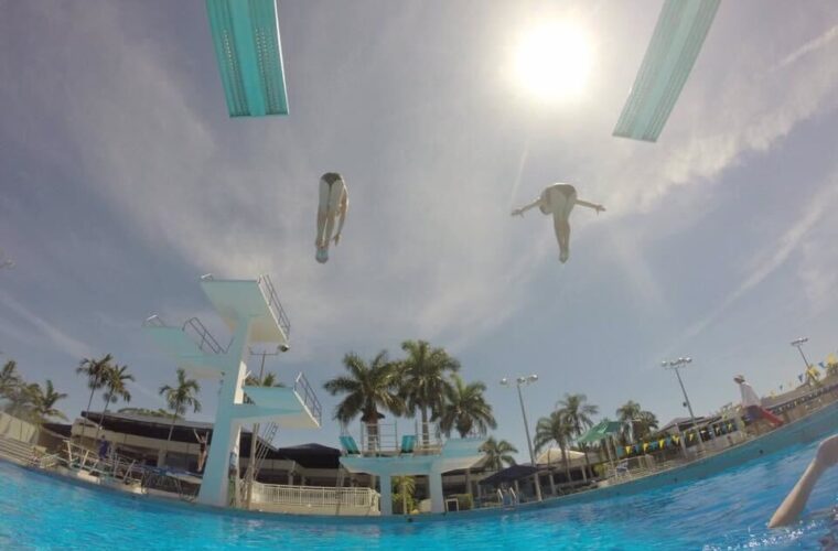 Behind the Bench - The Tribune