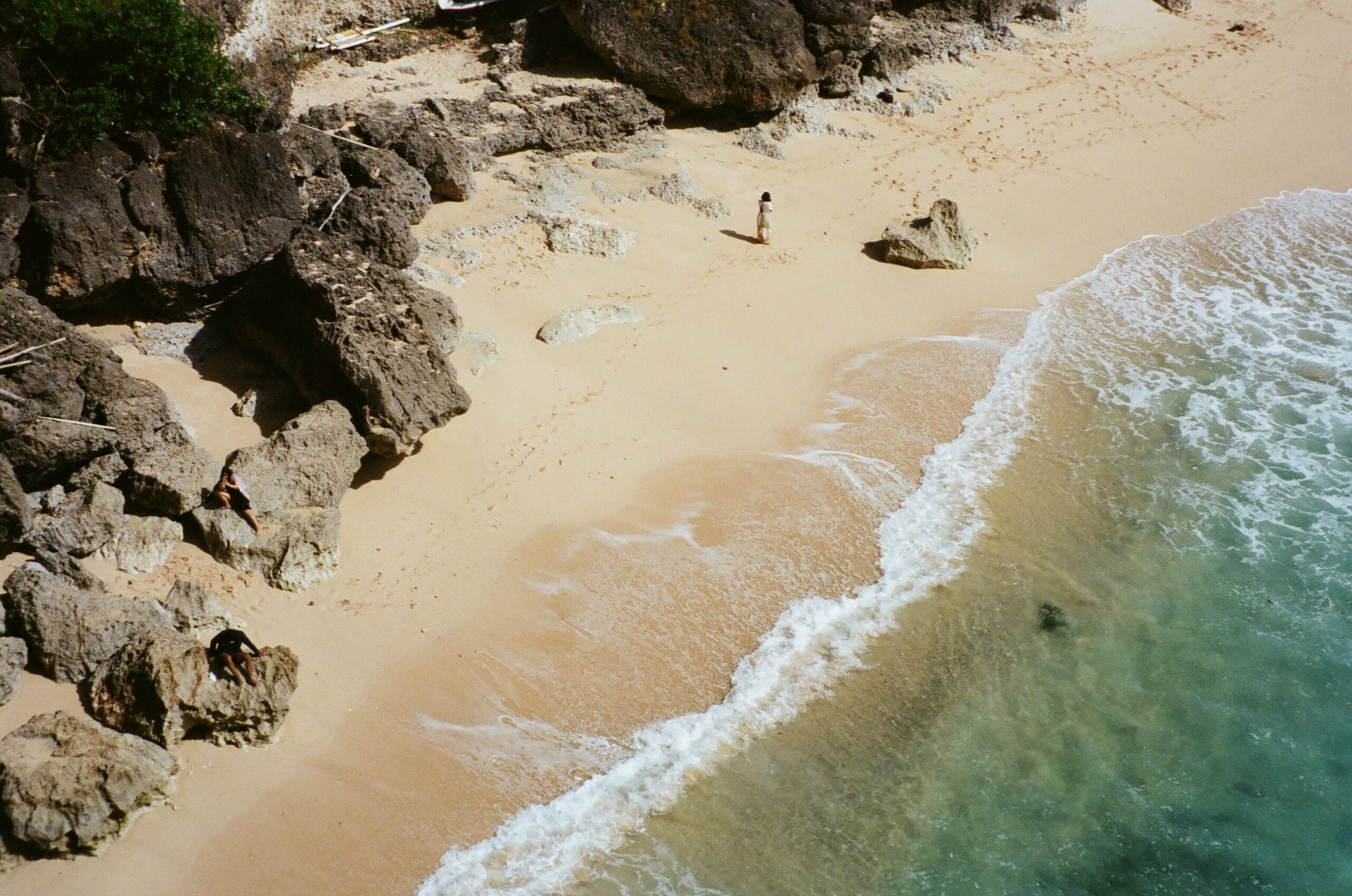 Creative Supplement - Fall 2022 - The Tribune