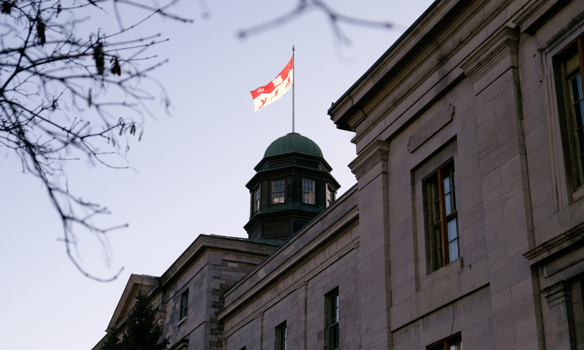 All things academic: Course recommendations - The Tribune