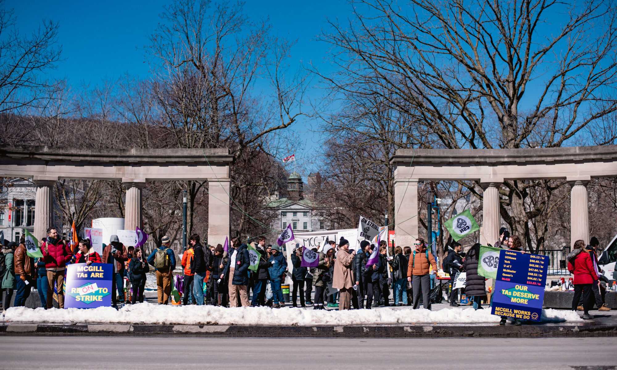 1,600 TAs go on strike as negotiations with McGill stall over ...