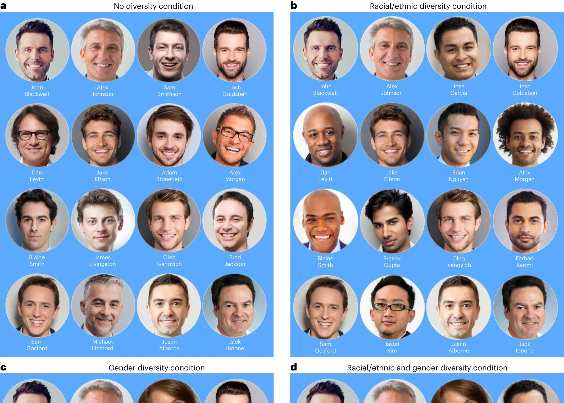 Diversity dynamics: Exploring organizational diversity’s impact on ...