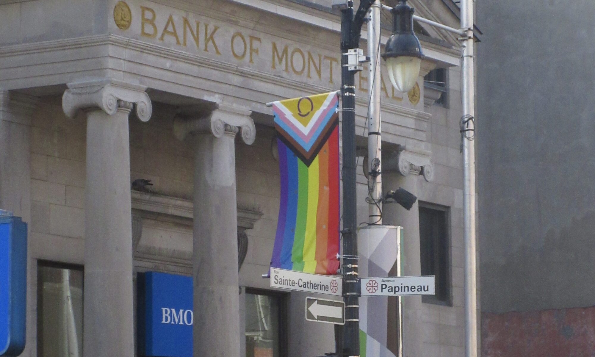 Laws of thought: Investigating factors that lead to transphobia - The Tribune