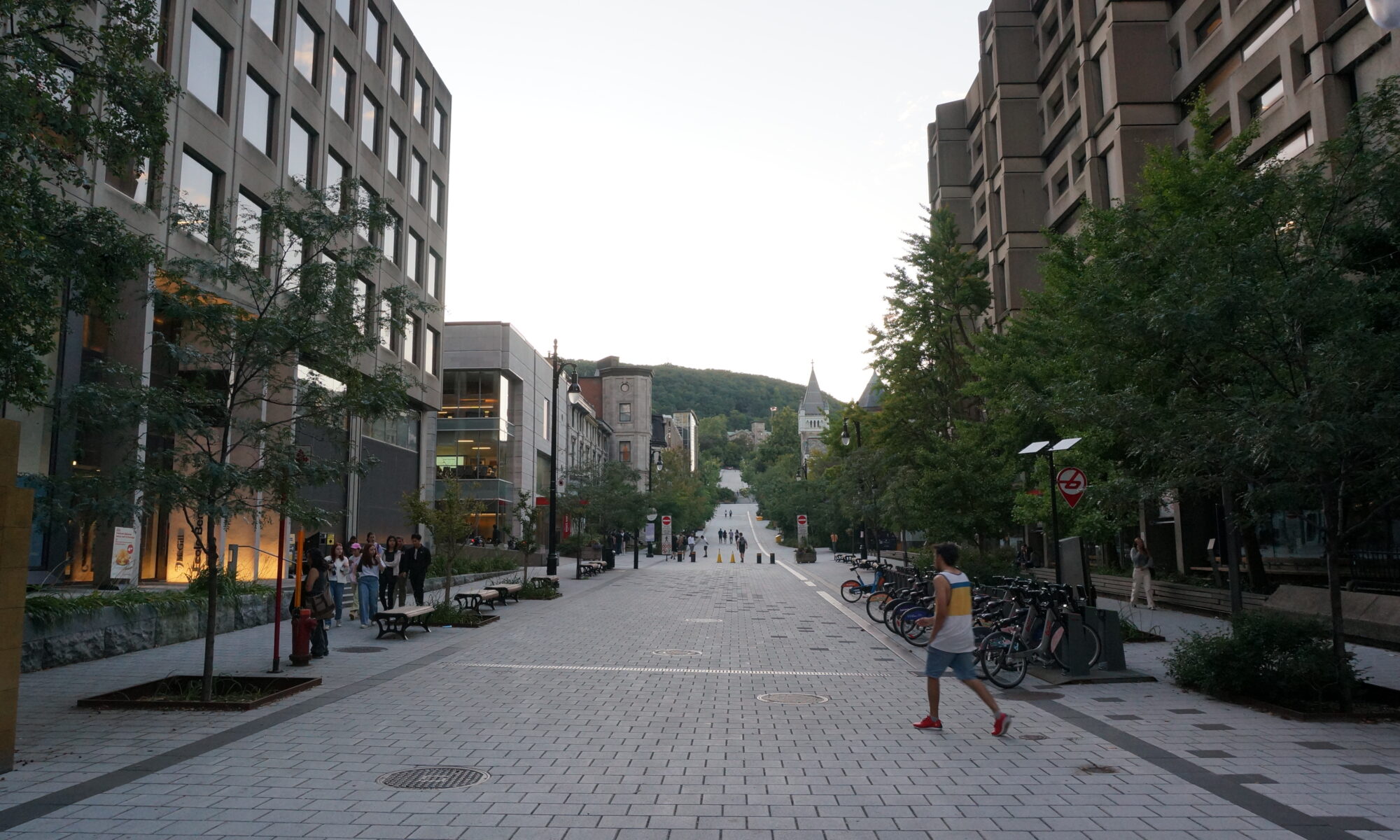 Ask The Trib: Your guide to thriving socially in your first semester at McGill - The Tribune