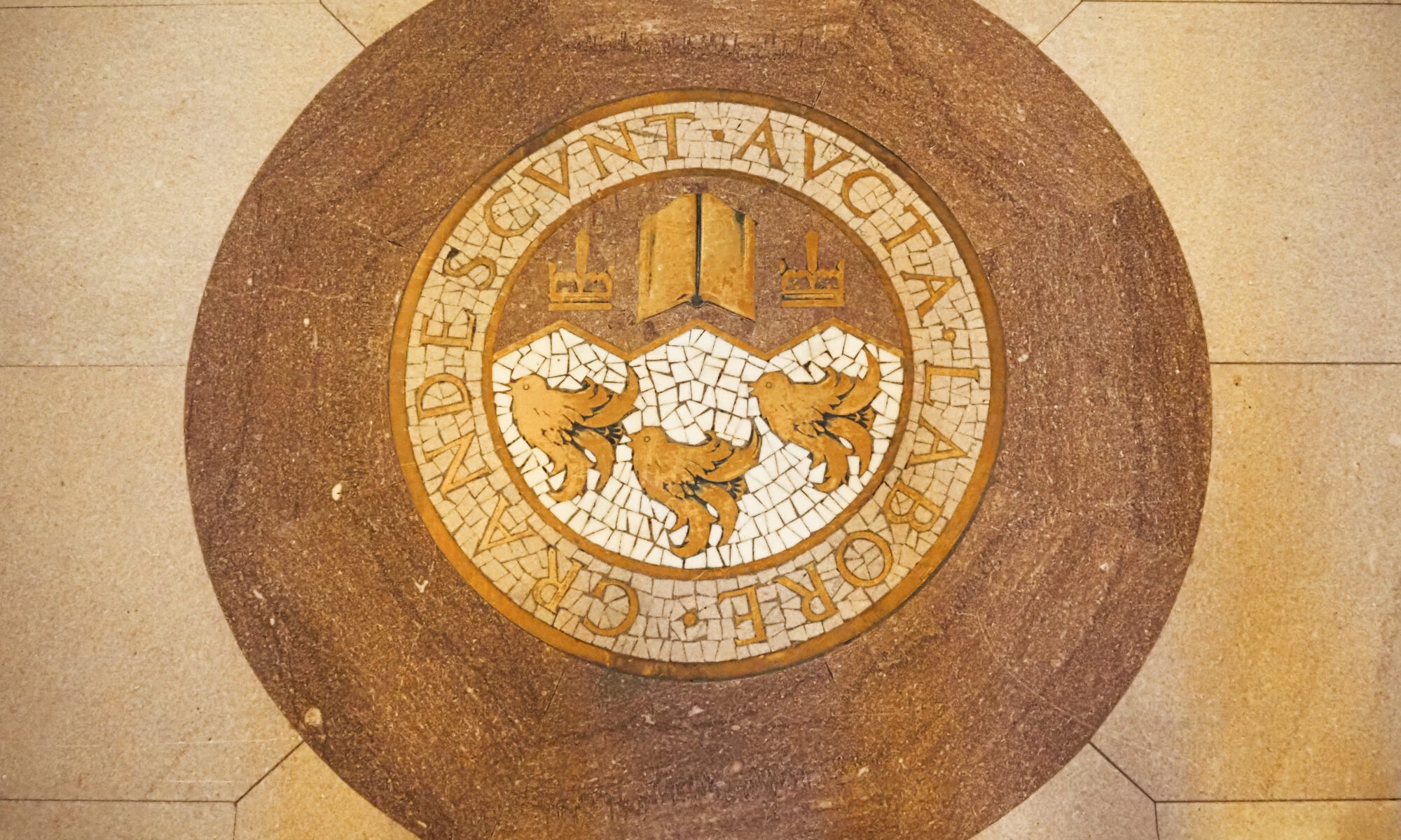 Dead languages live on campus - The Tribune